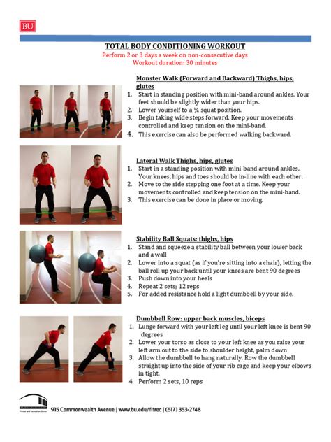 Total Body Conditioning Guide Pdf Limbs Anatomy Musculoskeletal