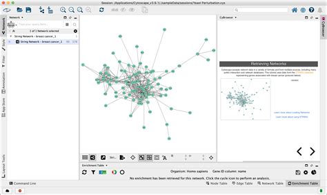 15 Cytoscape Web Browser — Cytoscape User Manual 3104 Documentation