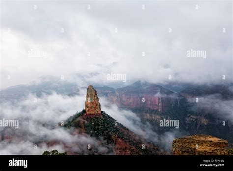 Mount Hayden Stands Above The Morning Low Clouds From Point Imperial On