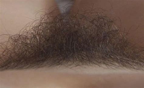 Downy Mound Pic Downy Mound Pic