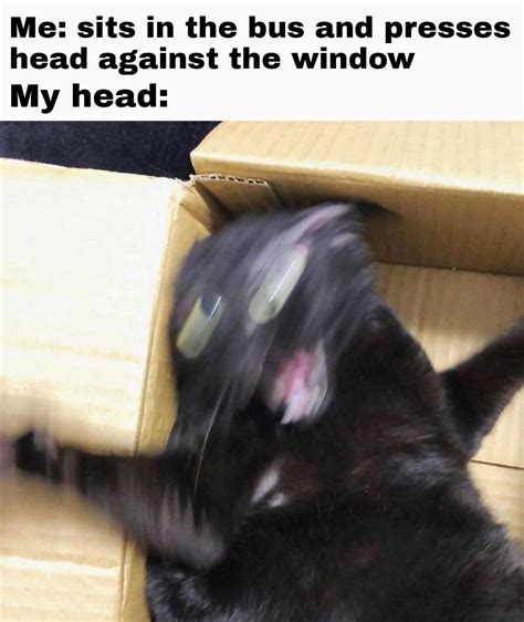 21 Best Unaughtyfox Images On Pholder Memes Gaming And Furry