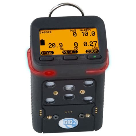 G460 Multi Gas Detector With Pid From Gfg Afc International
