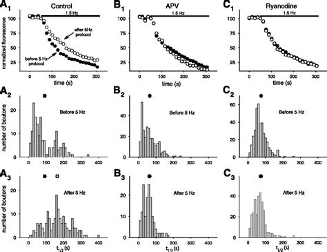 Calcium Release From Presynaptic Ryanodine Sensitive Stores Is Required