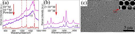 A Sers Spectra Or Nrs Spectrum Of R6g With Different Concentrations