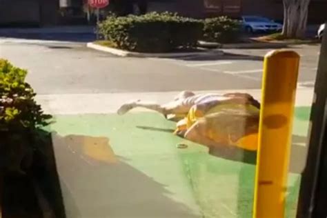 Strangers Filmed Having Sex In Broad Daylight Outside Prom Queen Shop