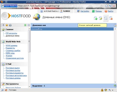 Добавление Cname записи в Dns Host Food
