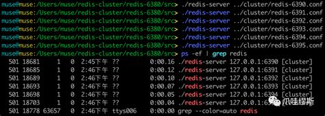 只要十分钟！带你了解redis Cluster 腾讯云开发者社区 腾讯云