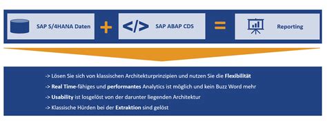 SAP S 4HANA Analytics CubeServ