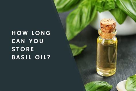 How Long Can You Store Basil Oil CondimentBucket