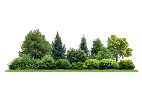 Tree Line Art PNGs For Free Download