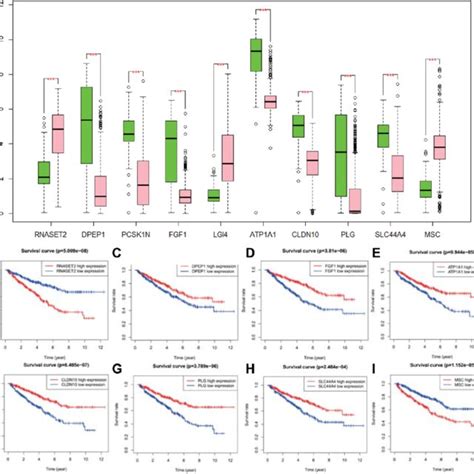 Construction Of A Prognostic Risk Assessment Model Based On 10 Download Scientific Diagram
