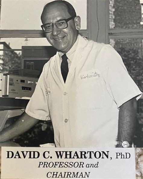 david wharton obituary tampa fl