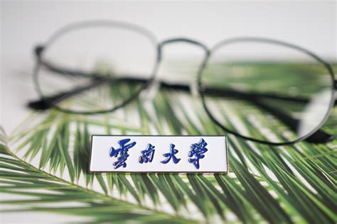 云南大学校徽 云大校徽 云南大学徽章 云南大学纪念品虎窝淘