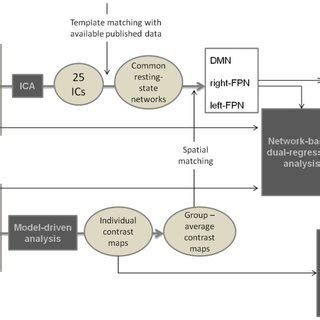 Summary Of The Methods Used For Preprocessing And Analysis Of FMRI Data Download Scientific