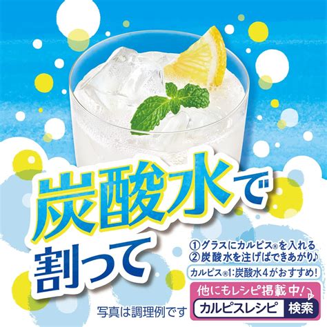 アサヒ飲料 カルピス 糖質60オフ 希釈用470ml 糖サポ市場