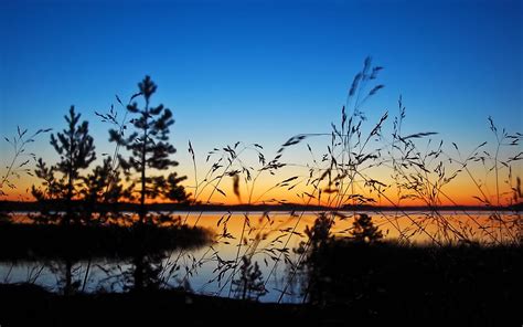 🔥 50 1440x900 Live Motion Desktop Wallpapers Wallpapersafari