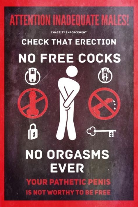 Chastity Captions Freewind