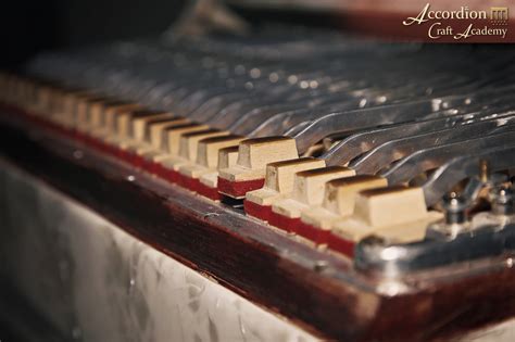 · Gallery · Accordion Craft Academy