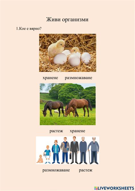 Структура и жизнени процеси на организмите 7 клас вход Quizizz
