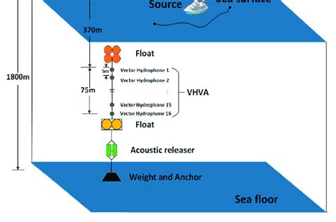 Picture Of Vector Hydrophone Download Scientific Diagram