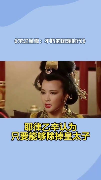 《宋辽金夏：不朽的斑斓时代》宋、辽、金、西夏等国家在政治、军事、文化等多方面的复杂互动 30 Youtube