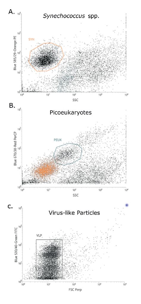 Representative Cytograms Of Synechococcus Spp A And Picoeukaryotes