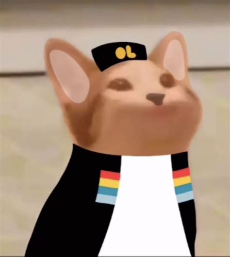 Popcat Pfp Dream Smp Cat Pfp Draemt Popcat Is Messing The Night