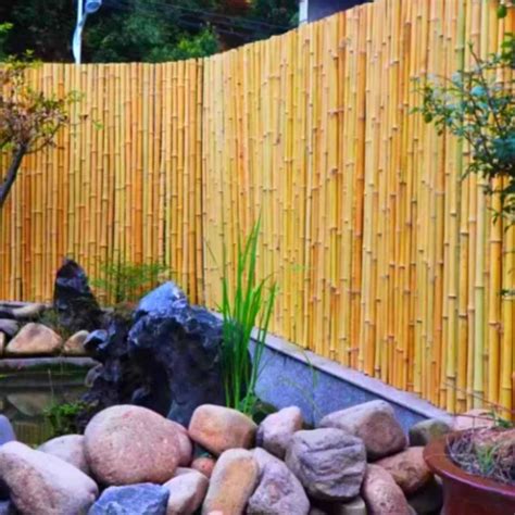 Back Yard Bamboo Fencing Backyard X Scapes Bamboo Fence Panel Natural