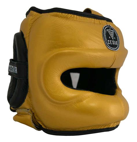 Rústico emoción Temprano casco barra boxeo Plausible Leyes y