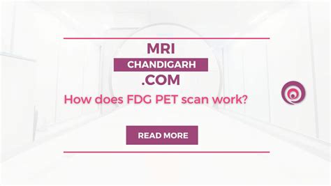 How Does FDG PET Scan Work MRI Chandigarh