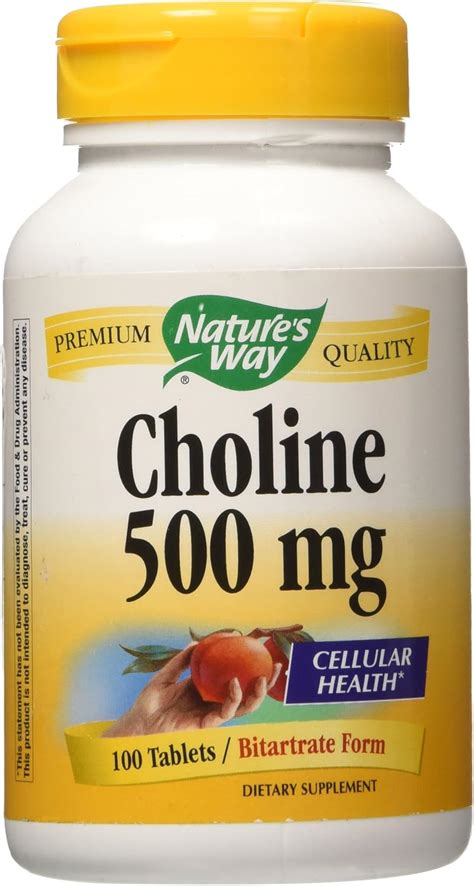 Natures Way Choline 500mg 100 Tablets Health And Household