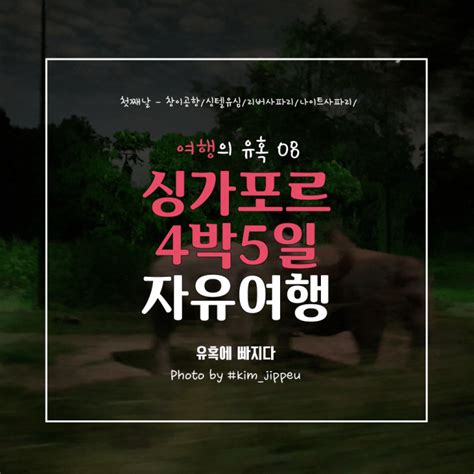 [싱가포르]자유1일 창이공항 싱텔유심칩 리버사파리 나이트사파리 네이버 블로그