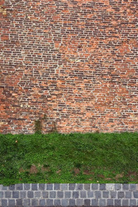 Old Rugged Brick Wall With Green Grass Stock Image Image Of Brickwall