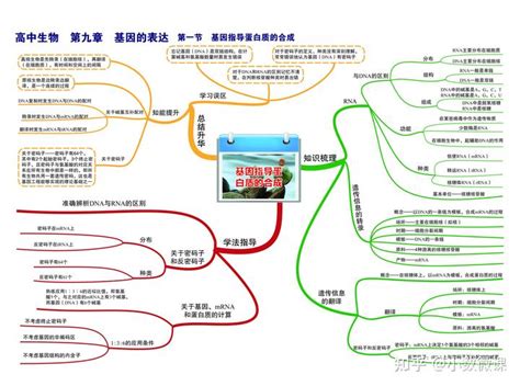 最全高中生物思维导图45张高清大图扫清高中三年知识点知识串联高效复习考试提分可下载打印 知乎
