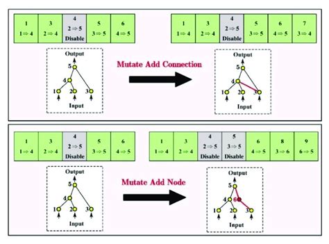 Two Types Of Structural Mutation In The Neat Download Scientific Diagram