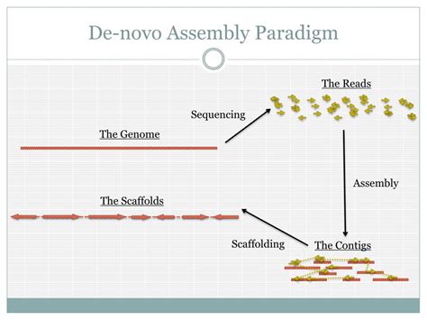 Ppt Scaffolding Large Genomes Using Integer Linear Programming