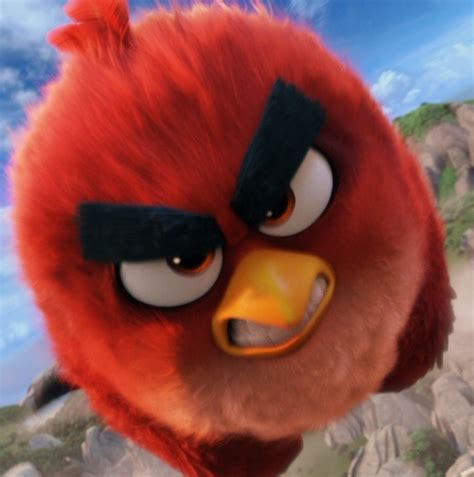 Jsa 시조새 스타크래프트 에펨코리아