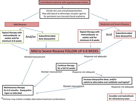 Rosacea Journal Of The American Academy Of Dermatology