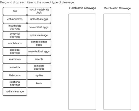 Solved Drag And Drop Each Item To The Correct Type Of Chegg