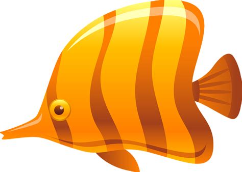 Png Fish