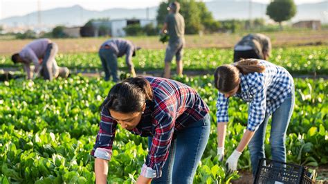 Ucla Fieldings Dr Beate Ritz Lauded For Work Linking Pesticide