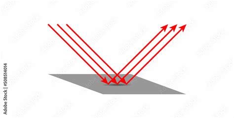 Regular Reflection Of Light Diagram Of Specular Reflection Vector