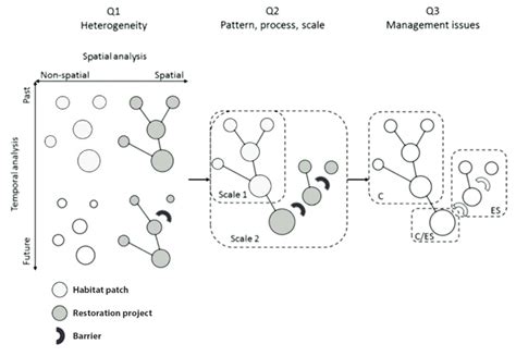 3 A Framework Of Core Landscape Ecological Research Topics After Wu Download Scientific