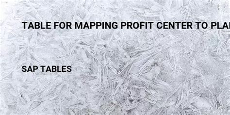 table for mapping profit center to plant table in sap