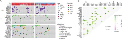 Comprehensive Genomic Profiling Of 71 Lung Cancer Patients Sequenced By Download Scientific