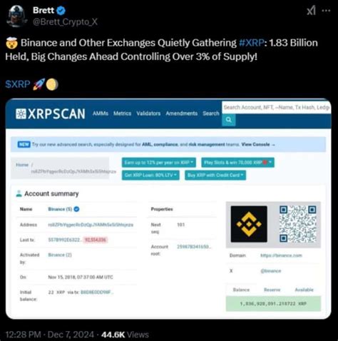 Ripples Wealthiest Wallets Who Holds The Most XRP Brave New Coin