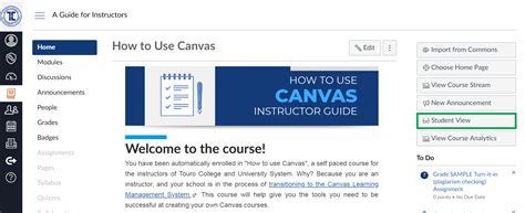 Touro Introducing Canvas