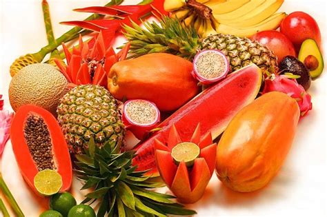 수 박 파파야 아보카도 바나나와 같은 열 대 과일의 정물화 Mamey 자 포 테 멜론 파인애플 레몬 피타 야 0명에 대한 스톡