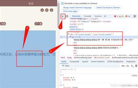 Python爬虫基础：手把手教你抓取小说vip内容（图文详解）python爬小说vip章节 Csdn博客