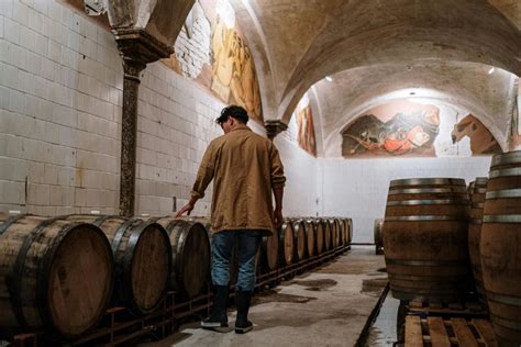 How Are Wines Made The 5 Basic Steps Of Wine Making